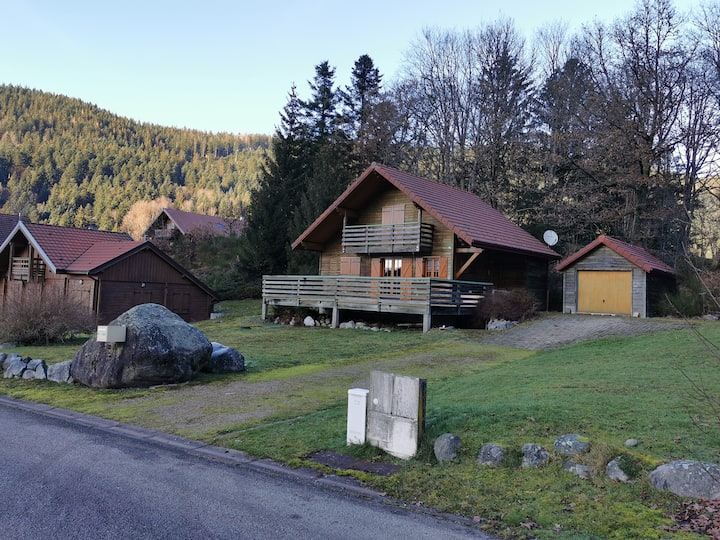 Chalet De La Moraine - La Bresse