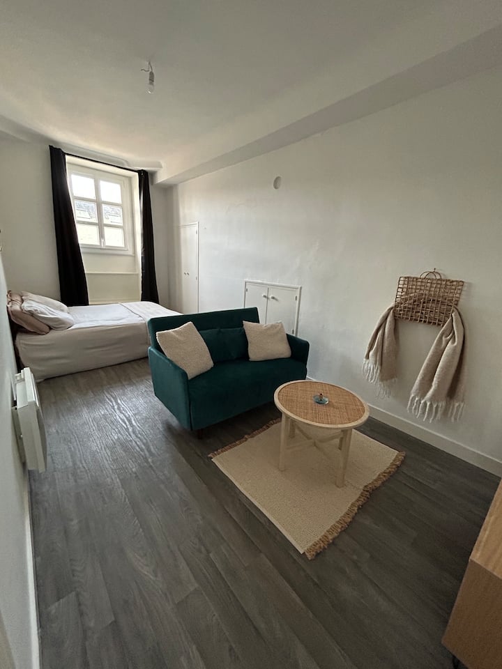 Appart Cosy Rennes Hyper-centre - Rennes