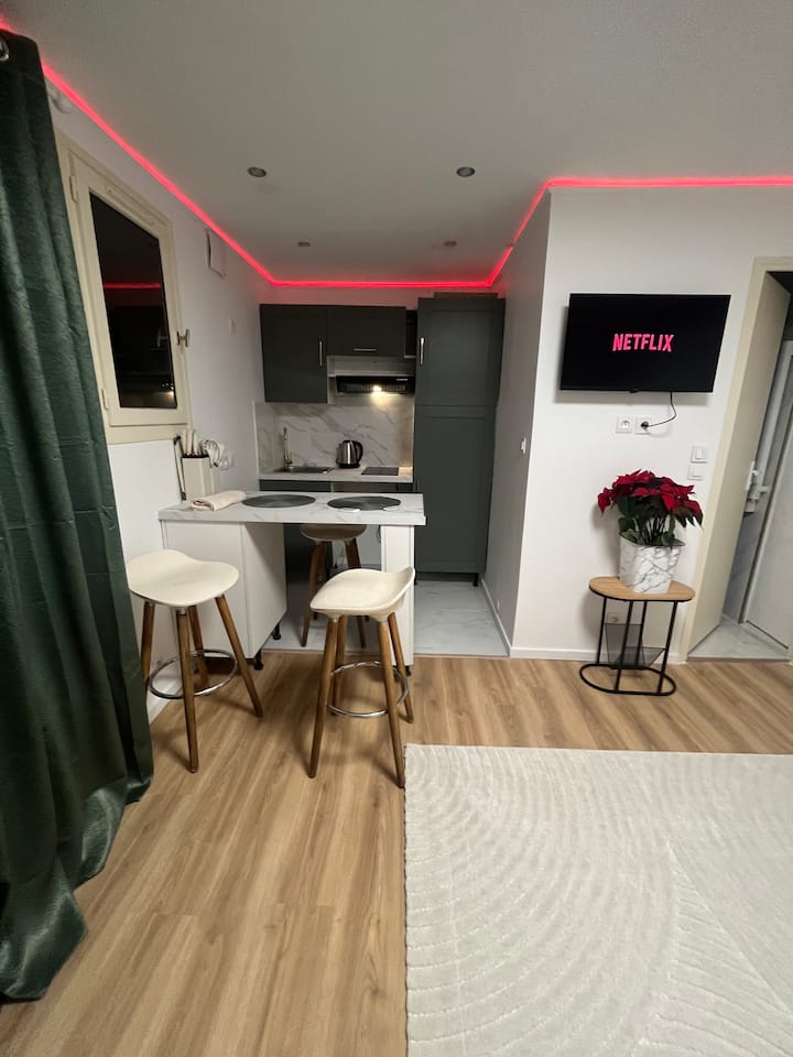 Appartement Charmant à Dijon - Dijon