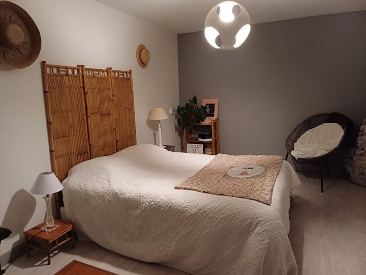 Appartement De Charme - Montauban