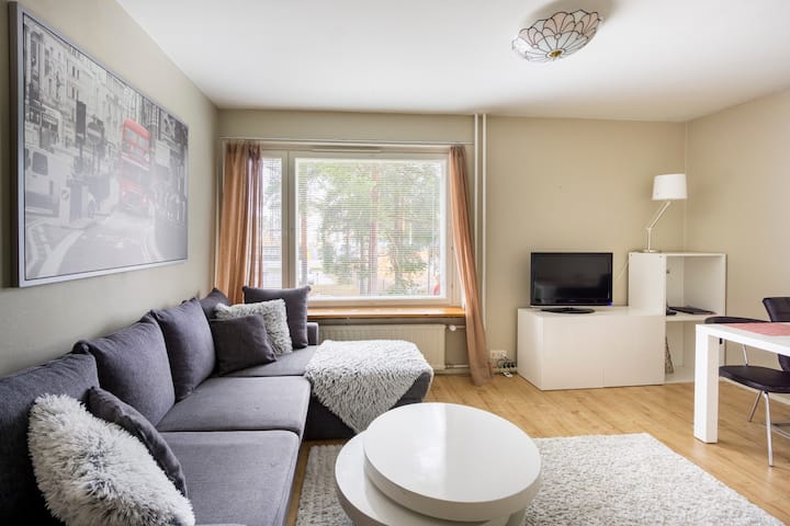 Kaarto Apartament - ロヴァニエミ