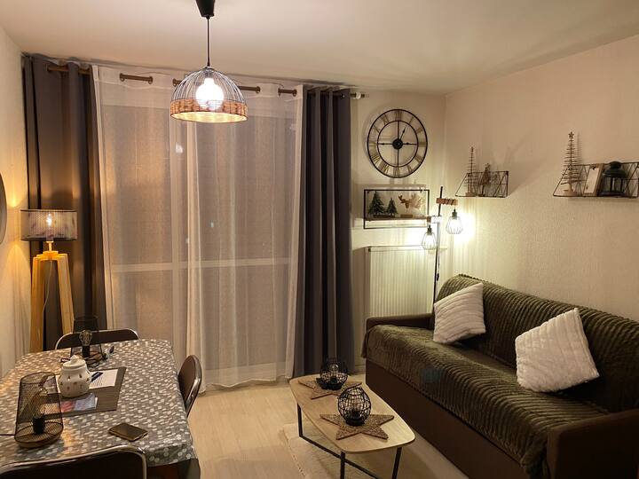 Studio Cosy Vue Sur Les Pistes - La Joue du Loup