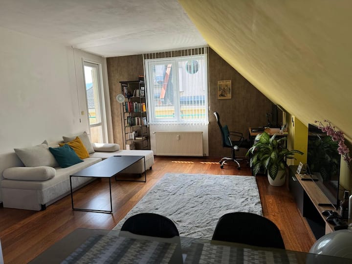 Apartment In Sofia - Sofia