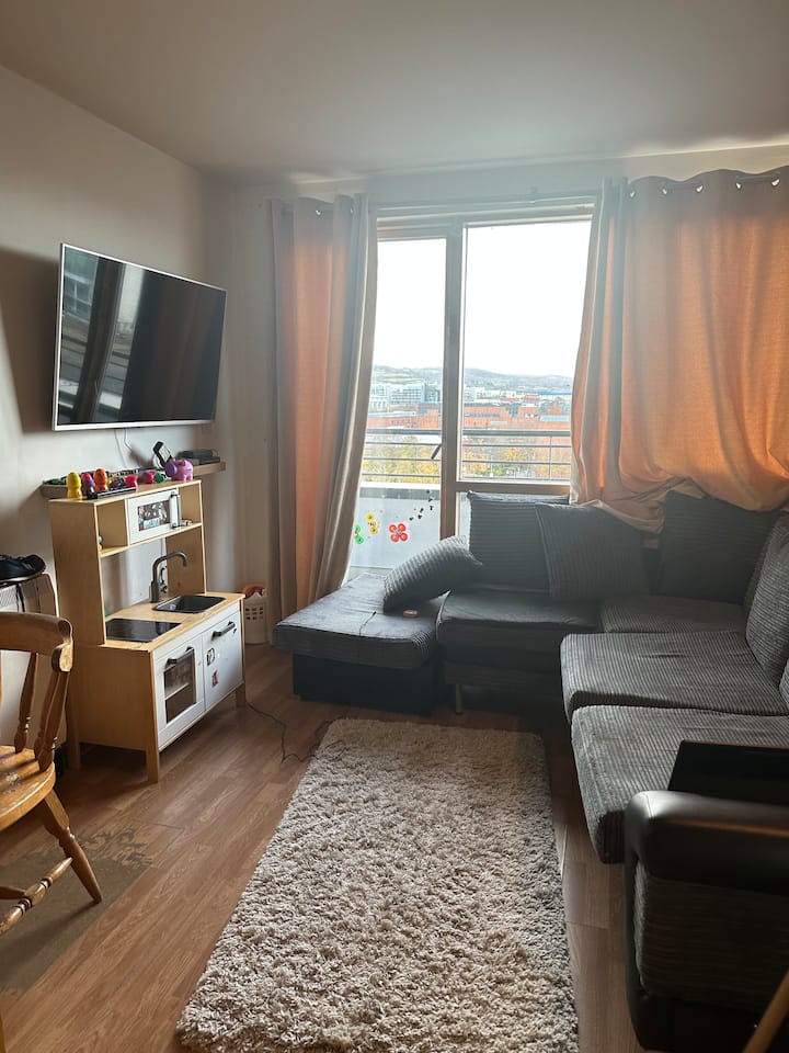 Flat For 3 People - Dublín