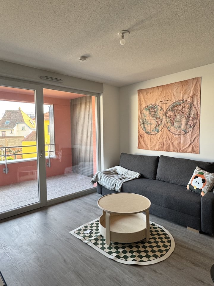 Appartement Cosy Proche Du Centre Ville - Strasbourg
