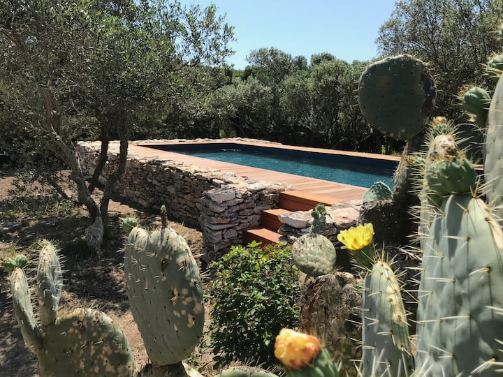 Santa Léna, Villa Avec Piscine à Bonifacio-sperone - Bonifacio