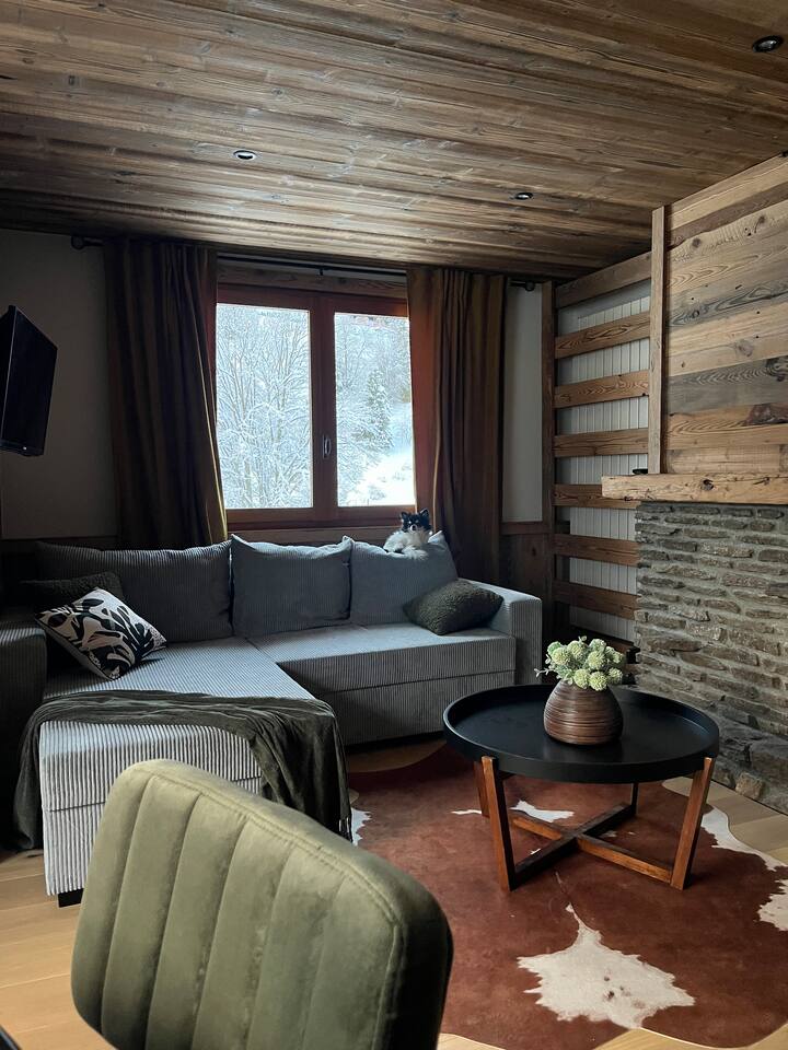 Appartement. La Clusaz - La Clusaz
