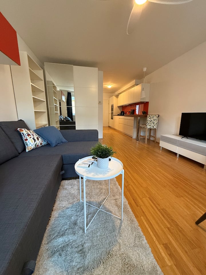 Vienna City Apartment - Vienna