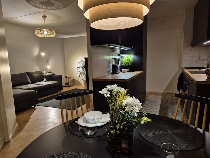 Cozy Two-room Apartment With Two Queen-size Beds - Helsinki