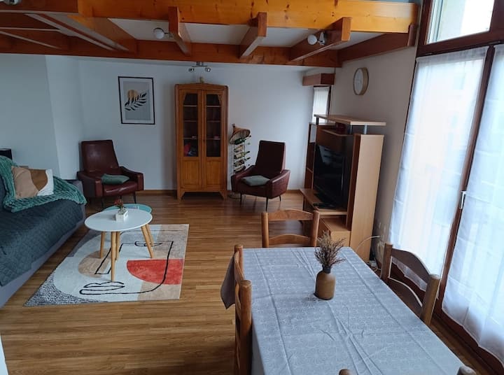 Le Duplex De La Cité Des Congrès - ナント