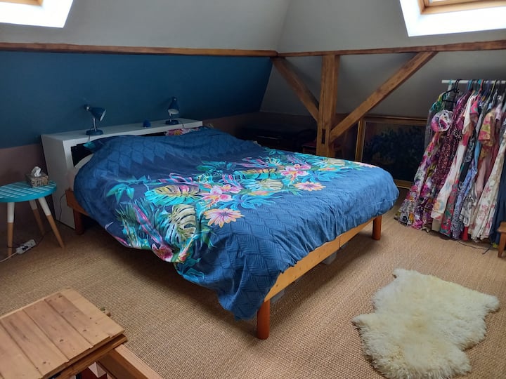 Bel Appartement Strasbourg - Strasburgo