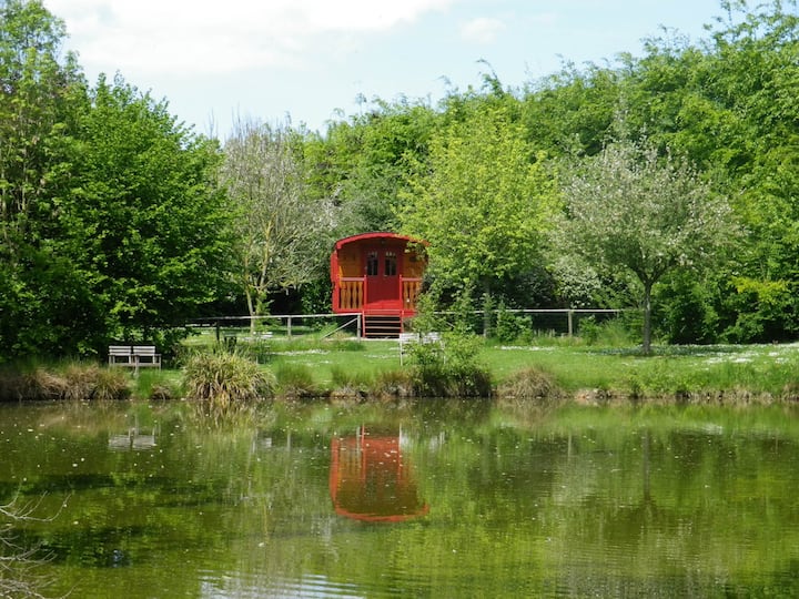 Les Roulottes De La Caroline - Bolbec