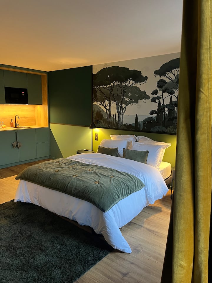 Studio Vert Meublé De Tourisme 2 Personnes - Altkirch