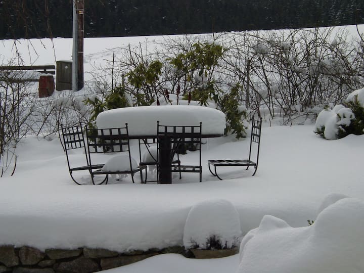 Nature Sur Un Plateau - Le Hohwald