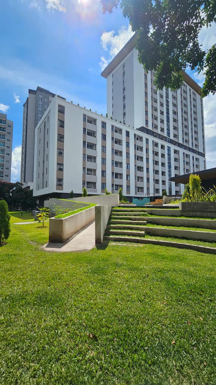 Somos Eco-cipreses - Tegusigalpa