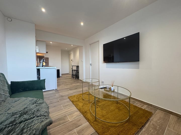 Le Castillet Chic - Centre Ville - Perpignan