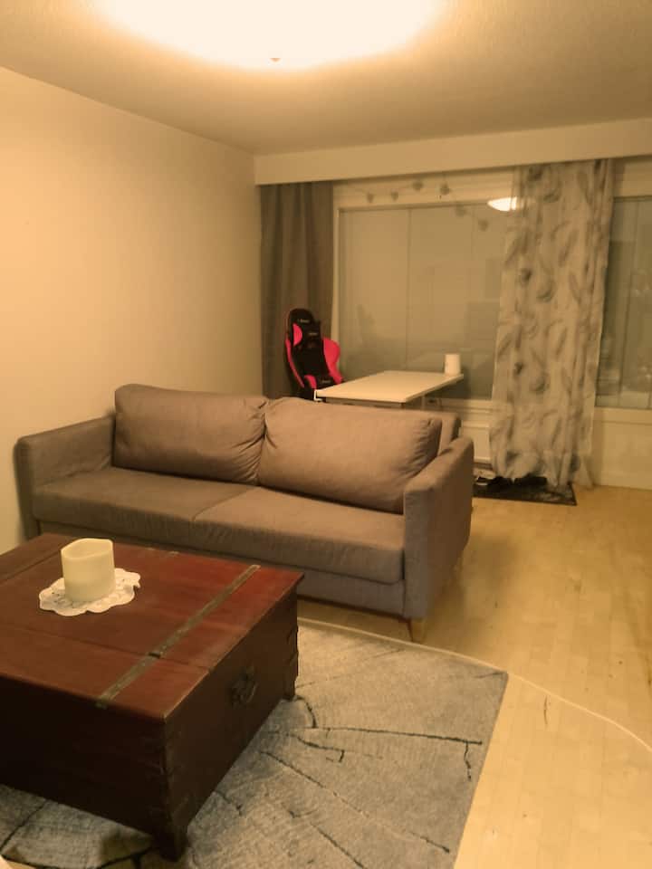Majoitus Lähellä Napapiiriä - Rovaniemi