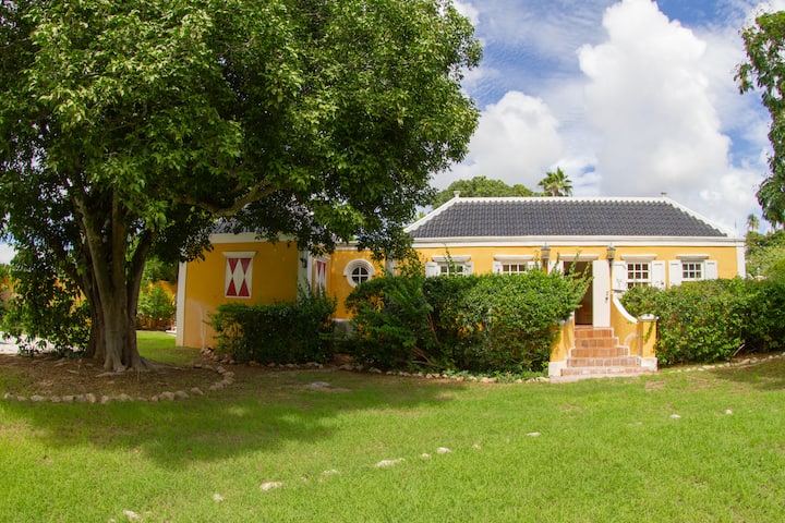 Queen Size Room With Garden View - Curaçao