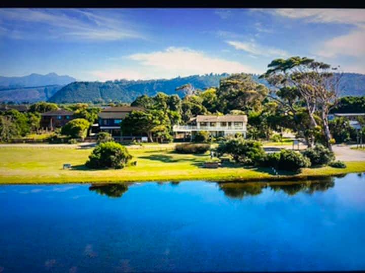 Living The Island Dream - Sedgefield