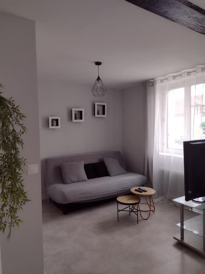 Appartement Lailly En Val - Beaugency