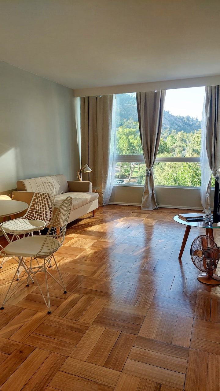 Depto. Remodelado Vista Al Cerro - Providencia