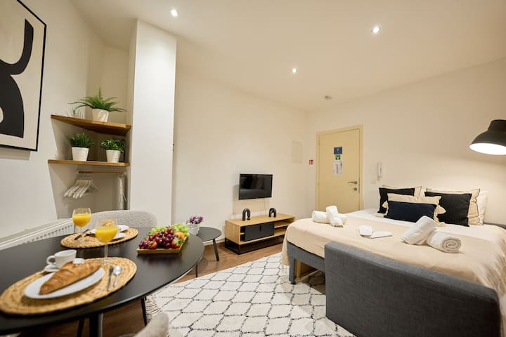 Efficient Studio In Prime Brussels - Anderlecht