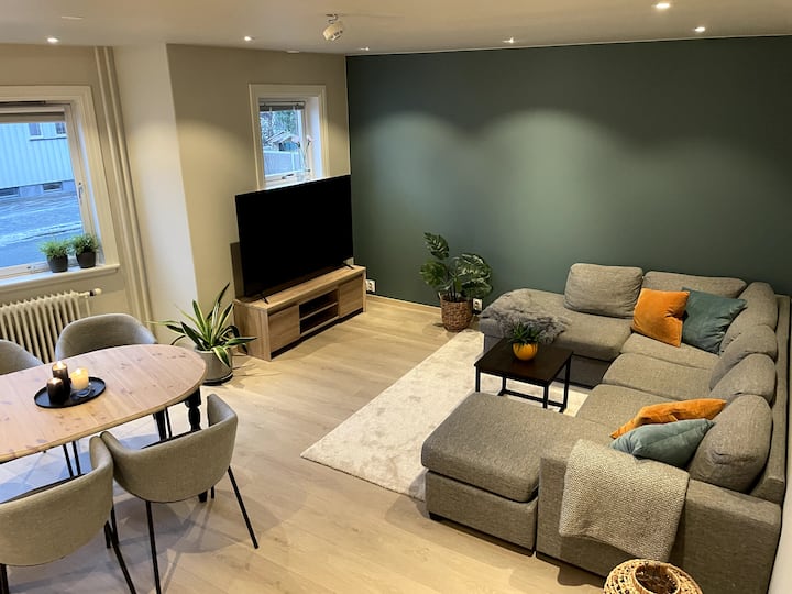 Romslig, Sentral Leilighet! - Trondheim
