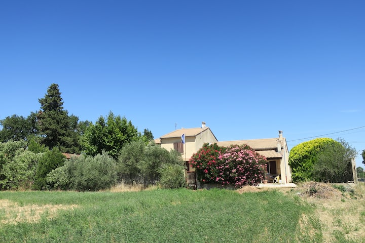Mas En Campagne - Orange