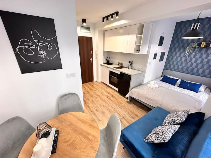 R_k31_12c_charming & Cozy Apartment - Katowice
