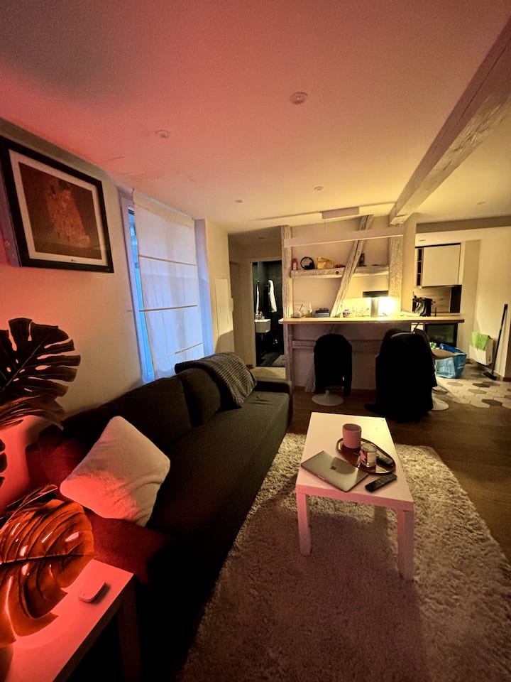 Duplex Centre Strasbourg - Kehl