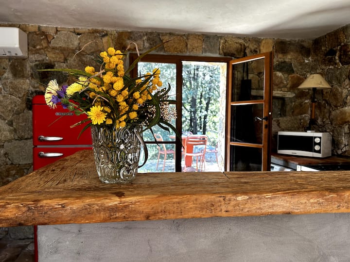 Logement Le Plus Atypique De Calvi - Calvi