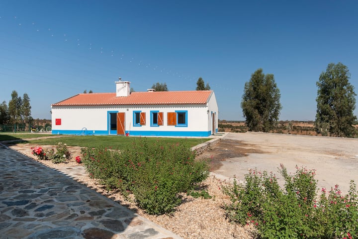 Casa Nº2 - Almodôvar