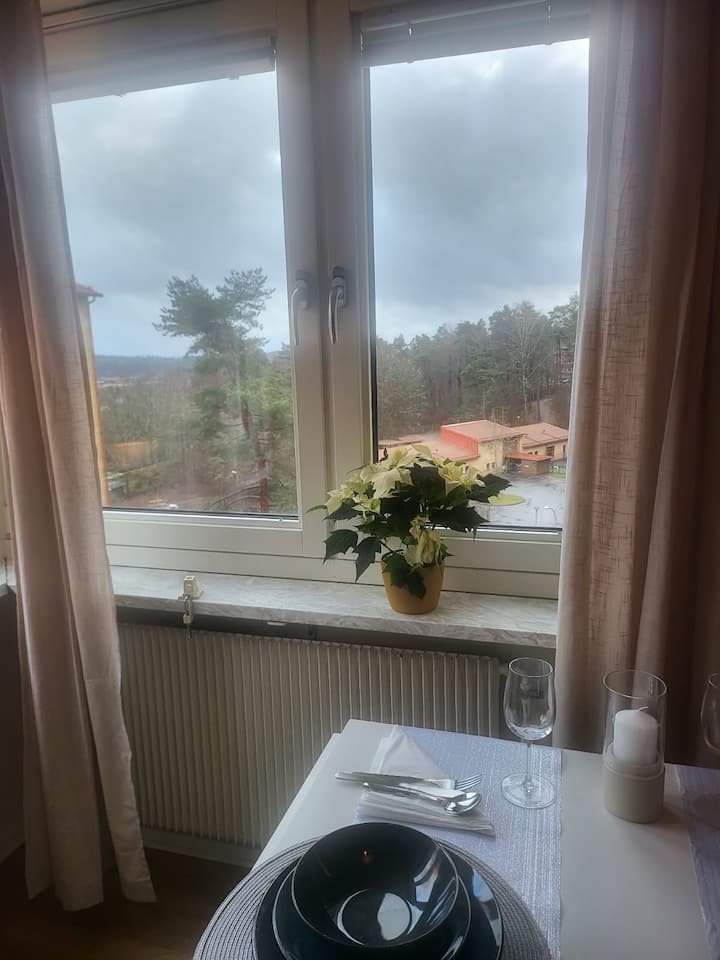 Cozy Studio Apt. In Borås - Borås