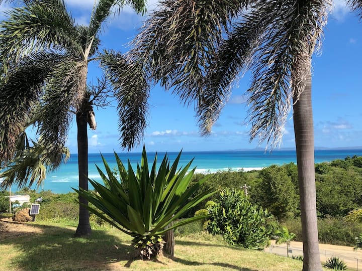1br/w - Spectacular Ocean View/pool/walk To Beach - Vieques