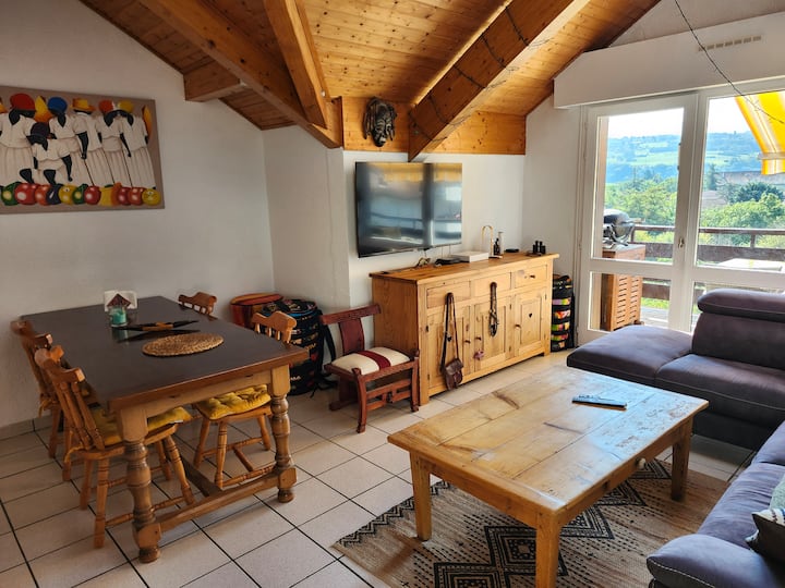 Le Ripaille Avec Vue Imprenable - Thonon-les-Bains