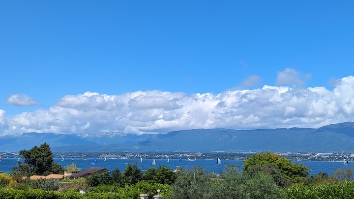 Villa Bellevue · Panoramic Lake View In Nernier - Yvoire