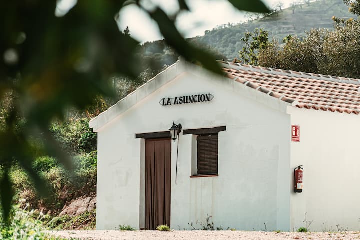 Cabaña Zarzalones - Tolox