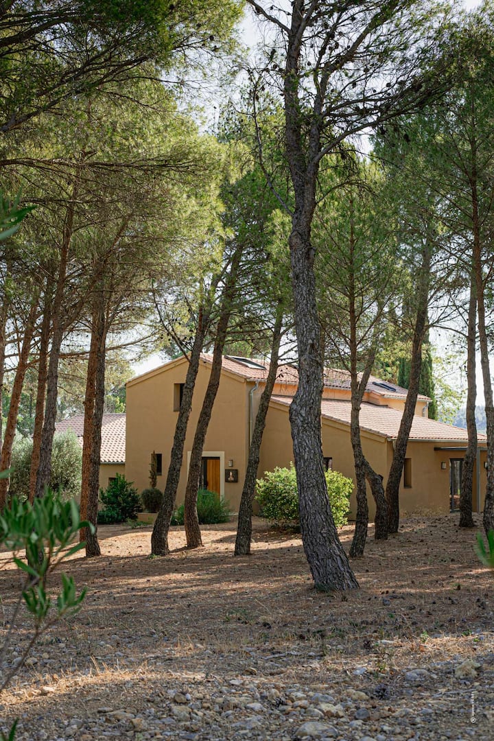 Villa De Charme Les Pins,12 Pers, Domaine Viticole - Port-la-Nouvelle