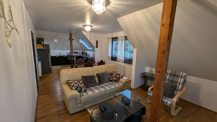 Appartement Cosy Dans Maison Familiale à Brunstatt - Parc Zoologique et Botanique de Mulhouse