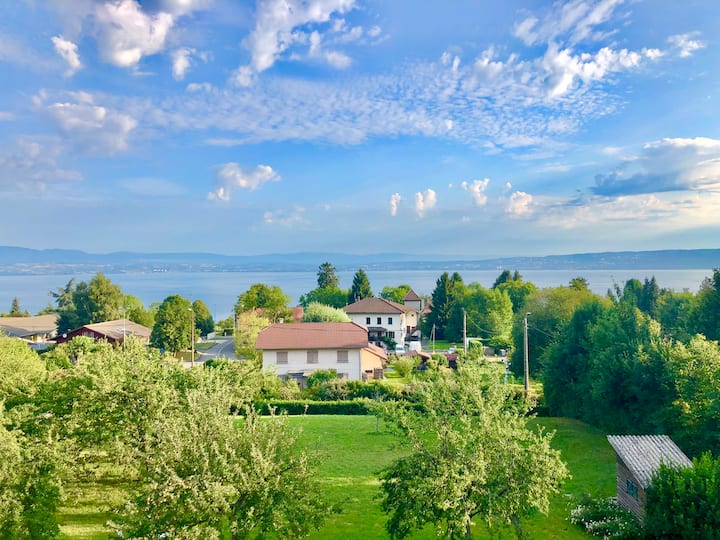 Beautiful Home With Sweeping Lake Geneva Views - Thonon-les-Bains