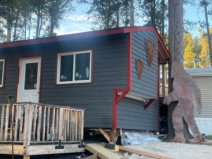 Comfortable Cozy Rustic Cabin. - Custer, SD