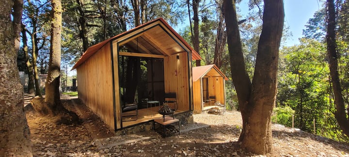 Vive El Bosque En Morelos - Morelos