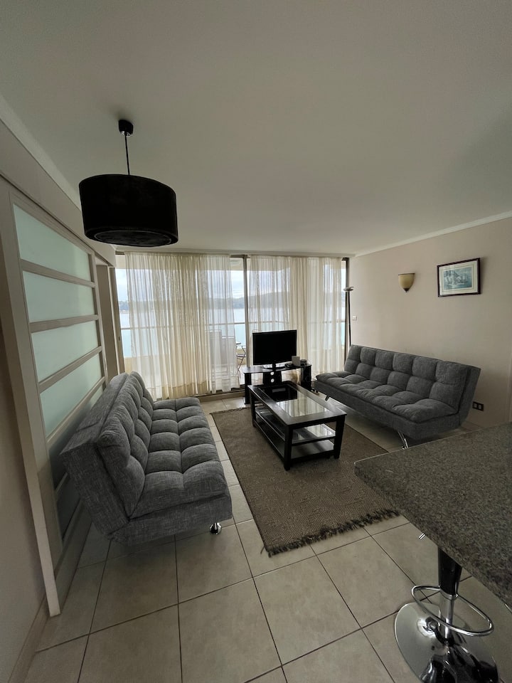 Arriendo Diario Costa Pingueral. - Tomé