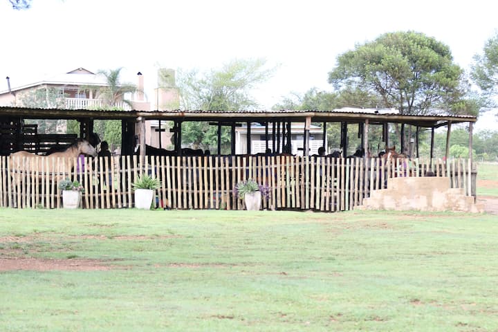 Hostel Rooms Close To Airport And City! - Pretoria, South Africa