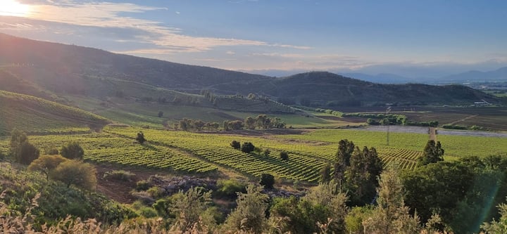 Casa Entre Viñedos Y Olivos - Rengo