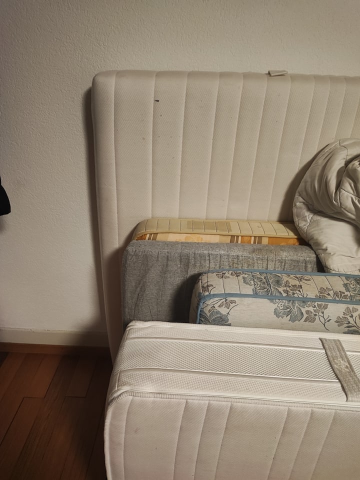 Staying In Bern - Free Hostel - Berne