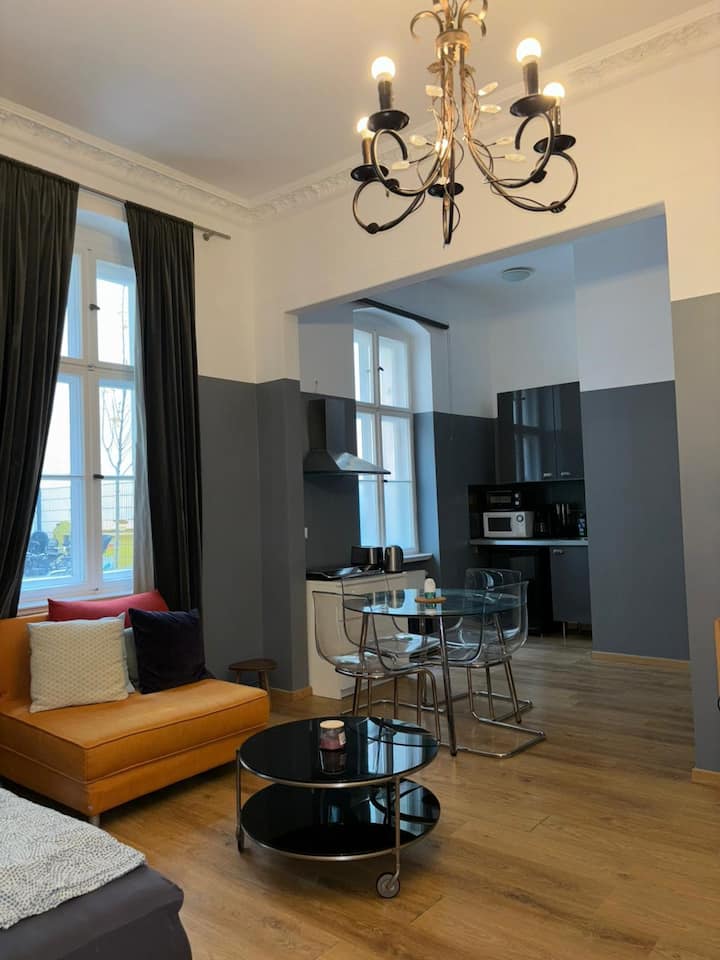 Quiet Big Studio Apartment - Berlin