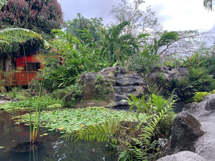 Le Morne Aux Fous - La Source - Deshaies