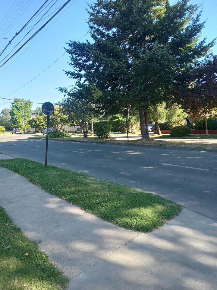 Cabaña Nueva Valdivia, Isla Teja - Valdivia