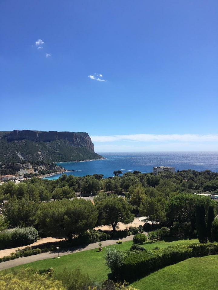 Splendida Vista Sul Mare E Cap Canaille, Piscina, Tennis, Splendida Residenza. - Cassis